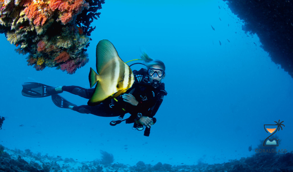 Coral Glass - Velaa Private Island Maldives: Pioneering Sustainable ...