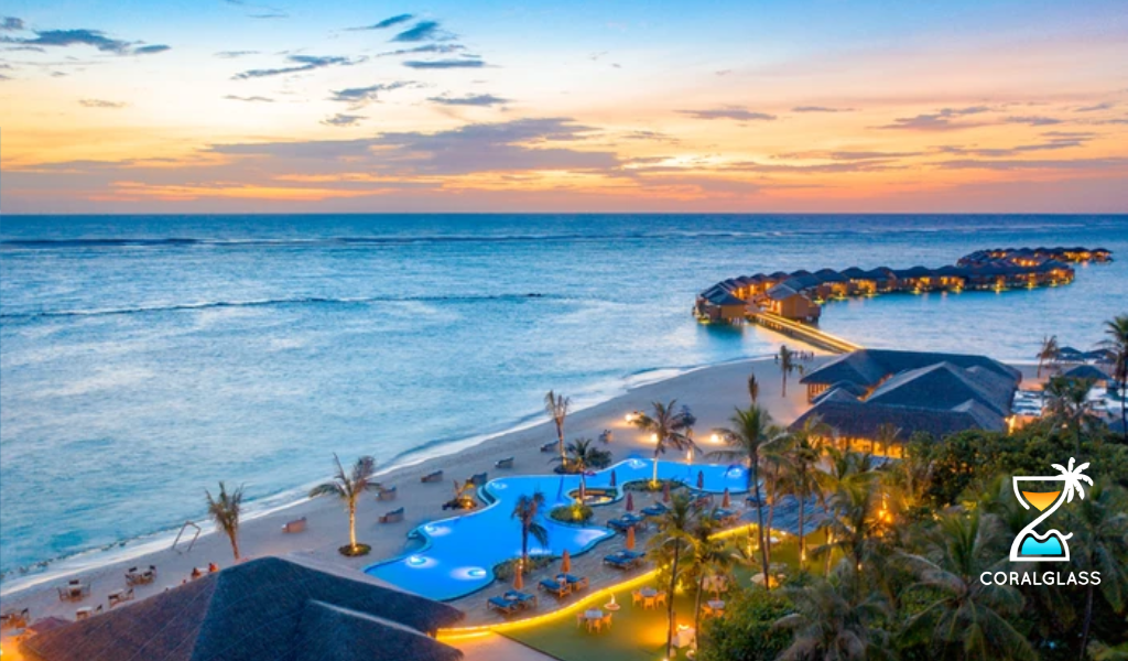 Coral Glass - What’s New At The Cocoon Collection This December?