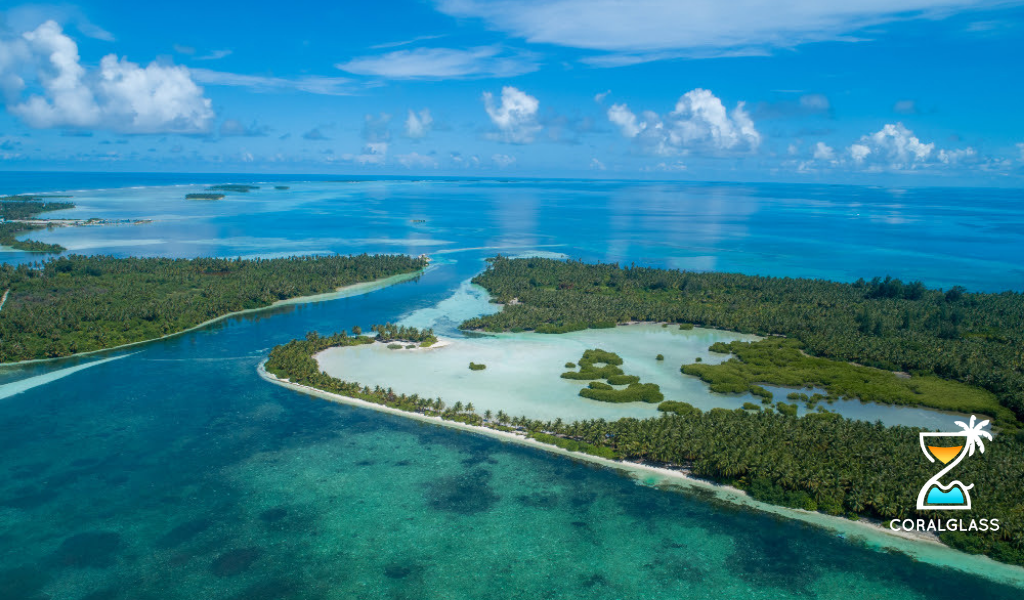 Coral Glass - Laamu Atoll – A Mission Blue Hope Spot in the Maldives