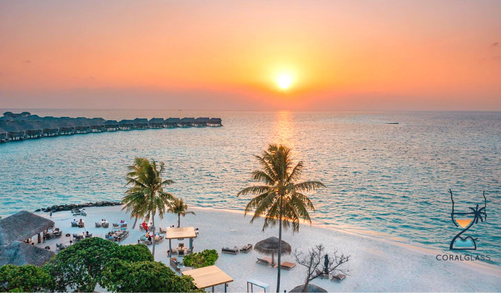 Coral Glass - Vakkaru Maldives Brings You A Deep-Sea Odyssey With ...