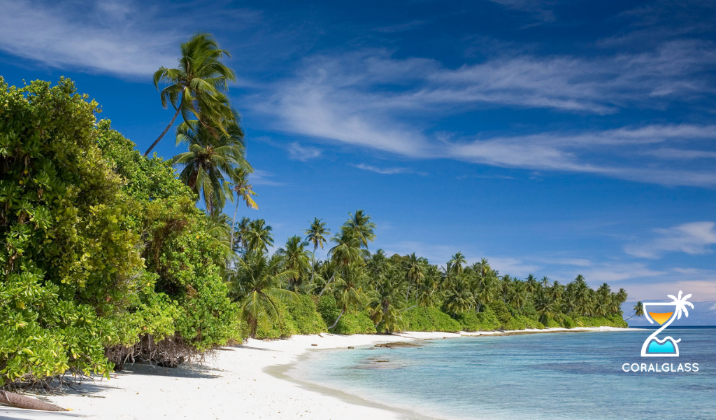 Coral Glass - Two New Skill Programs Announced by Maldives Polytechnic.